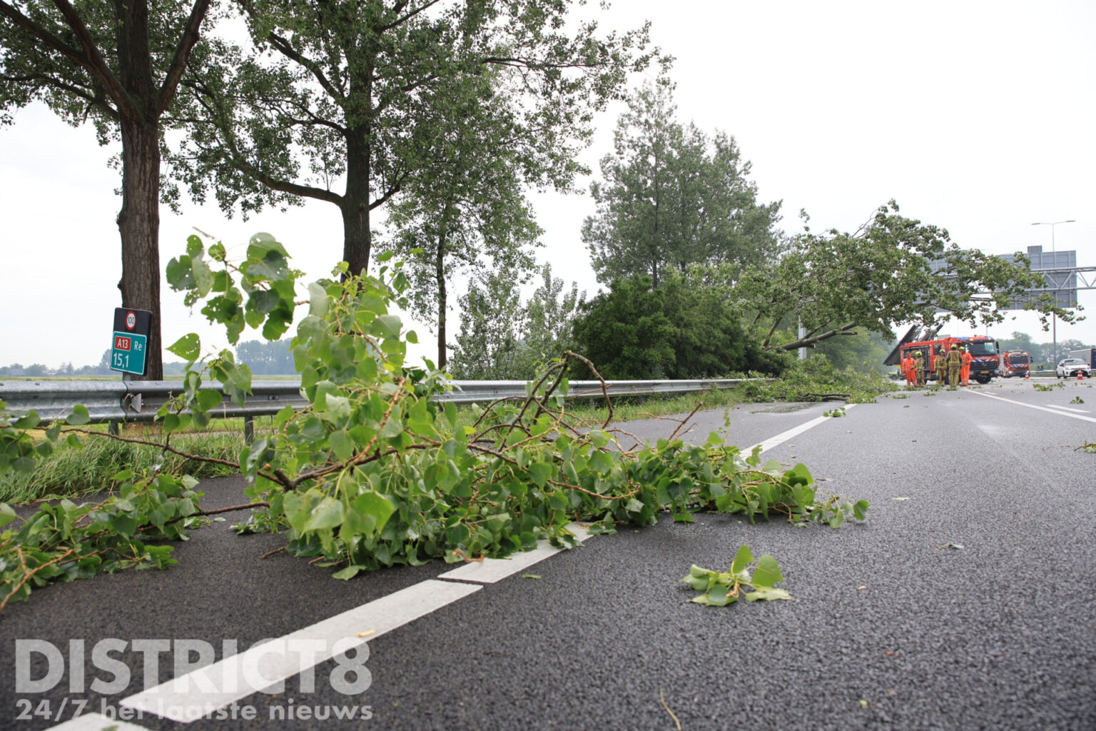 Grote boom waait om en belandt op snelweg: weg urenlang deels dicht A13 ...