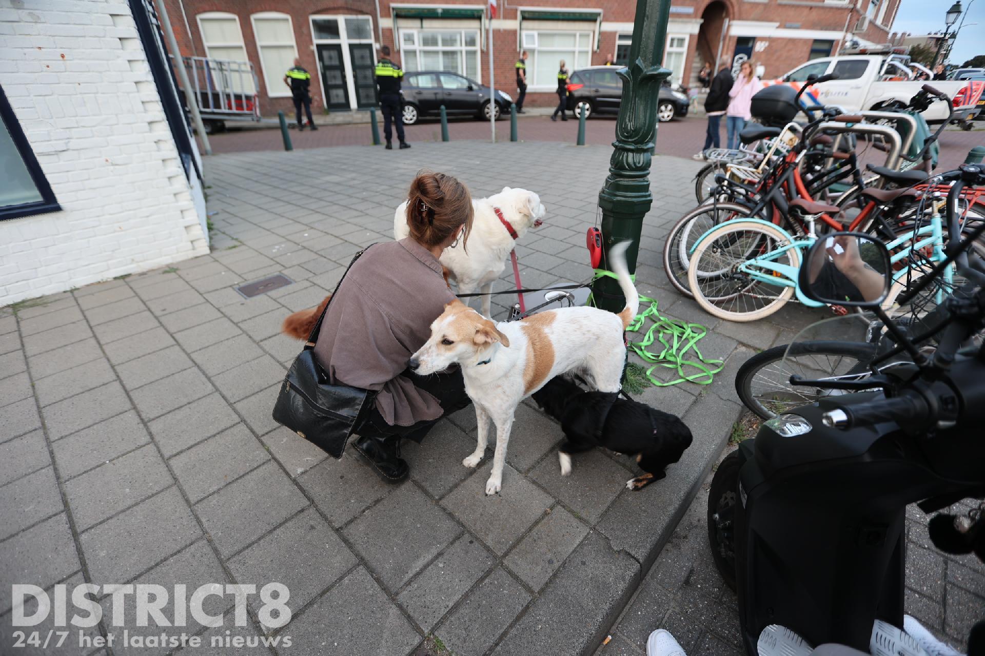 Meerdere dieren uit woning gehaald bij woningbrand Van Foreeststraat Den Haag - District8.net