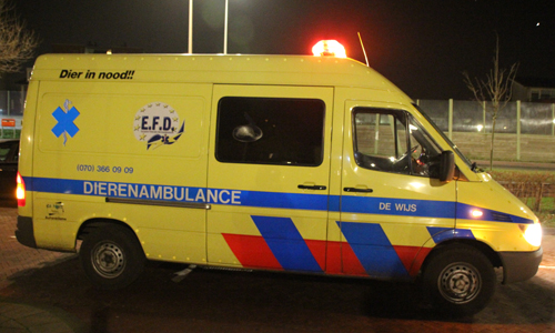 14 februari Brandweer rukt uit voor een gewonde zwaan Dag ... 14 februari Brandweer rukt uit voor een gewonde zwaan Dag ...